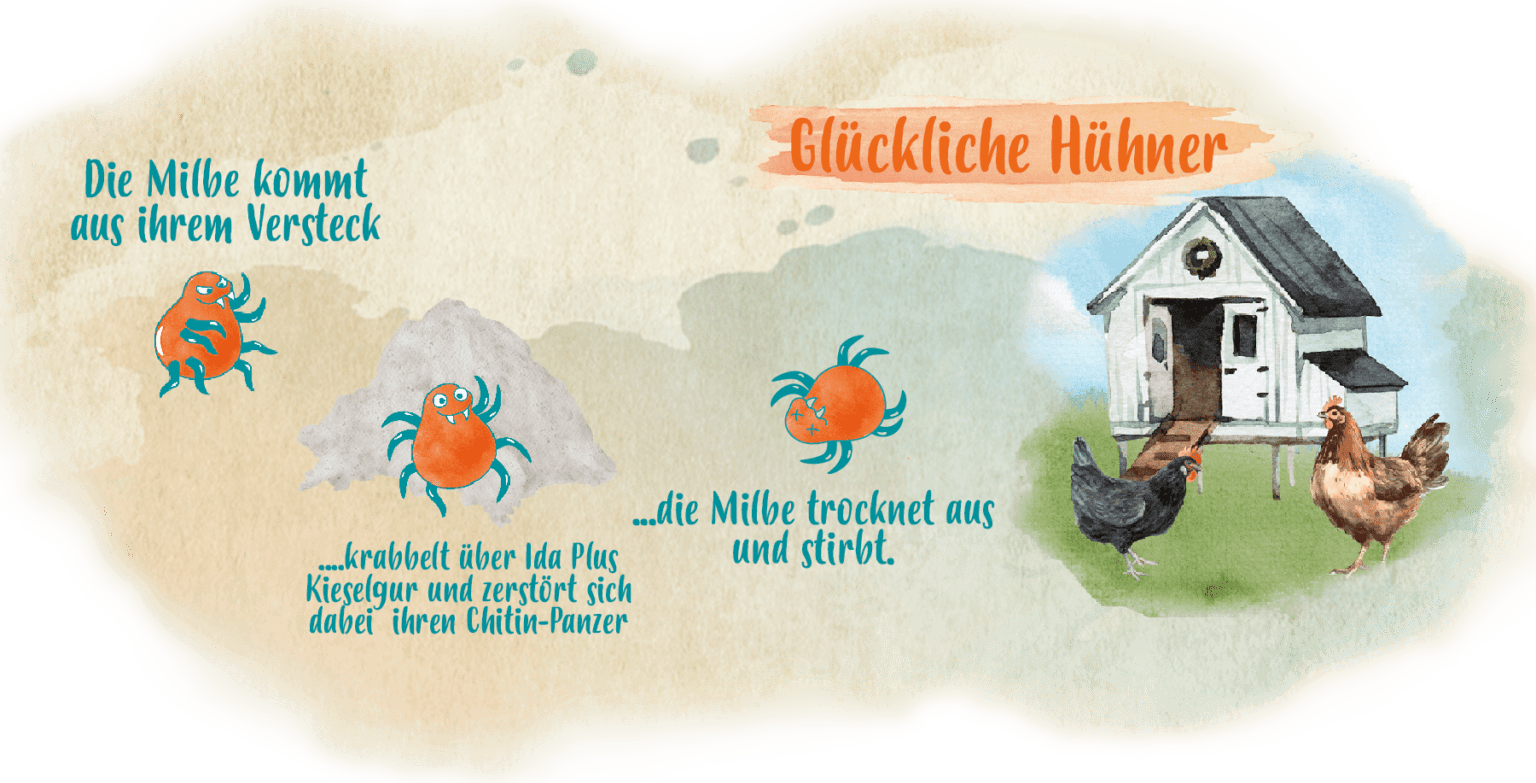Faszinierend Kieselgur In Der Wohnung Anwenden Ebenbild