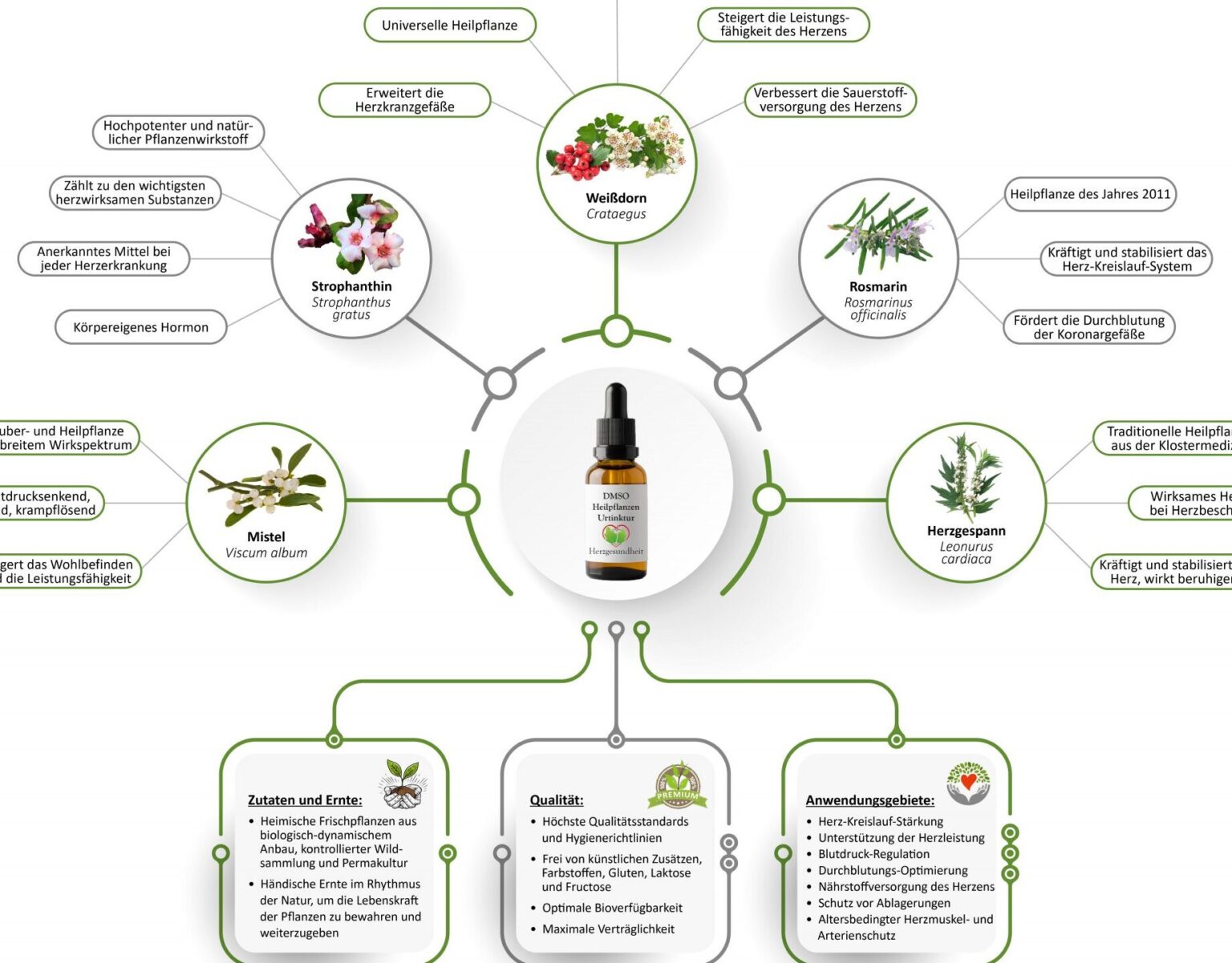 Strophanthin Urtinktur: Anwendung und Vorteile im Überblick